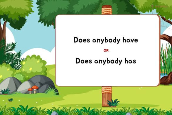 Anyone Has Or Have - When To Use 'Has' And 'Have'?