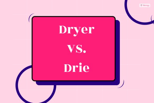 Dryer VS. Drier: All You Have To Know